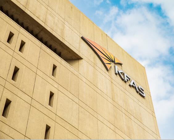 دعم البحوث / المنح